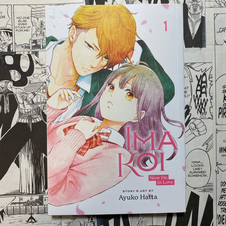 Manga/Manhwa/Manhua/Webtoons – Page 2 – Omnia Retail Services